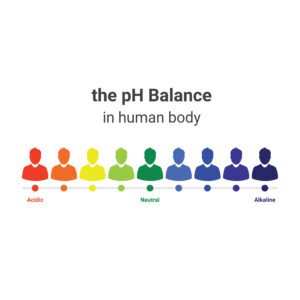 Alkaline Body 101: The Science, Benefits, and How to Achieve It ...